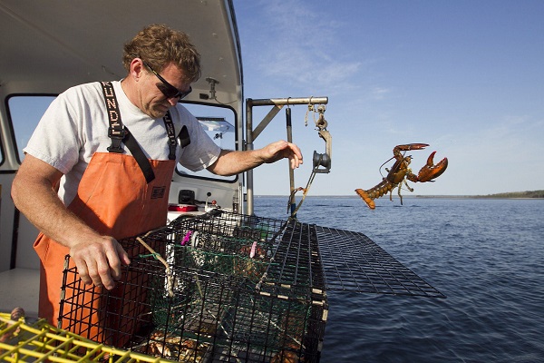 What does the Bible say about eating crab and lobster?