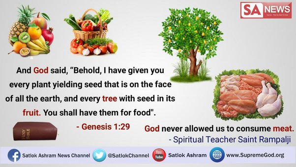 What does the Bible say about not eating food?
