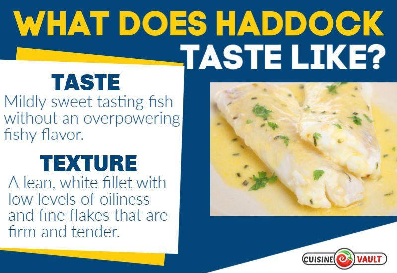 What does the fish haddock taste like?