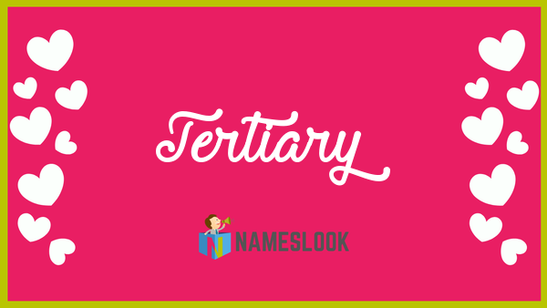 What does the name tertiary mean?