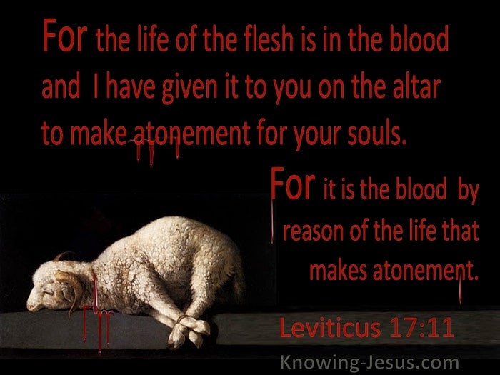 What does the New Testament say about blood?