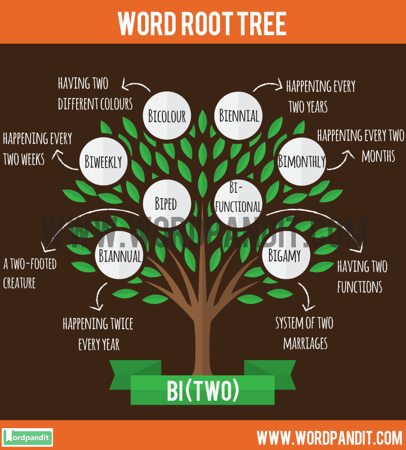 What does the root word BIS mean?