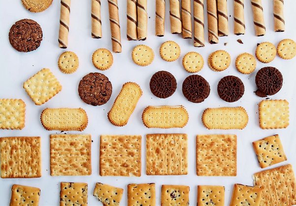 What does the word biscuit mean literally?