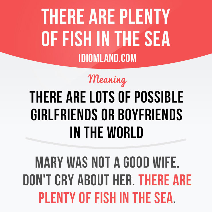 What does there are plenty of fish in the sea mean?