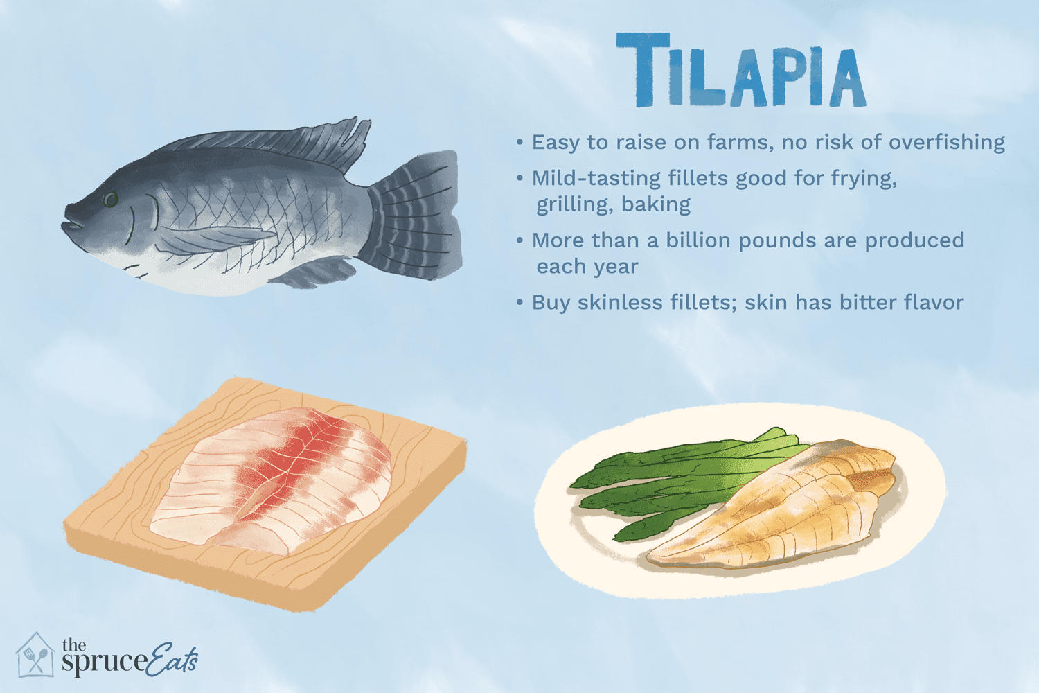 What does tilapia taste like?