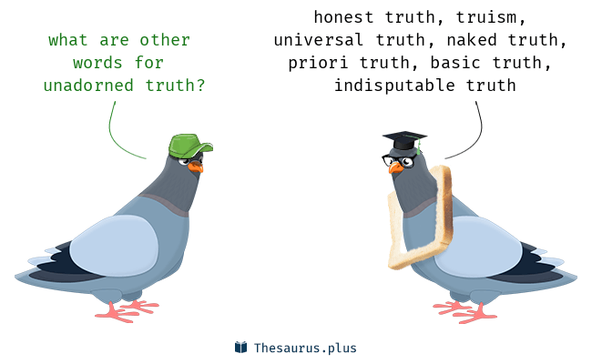 What does unadorned truth mean?