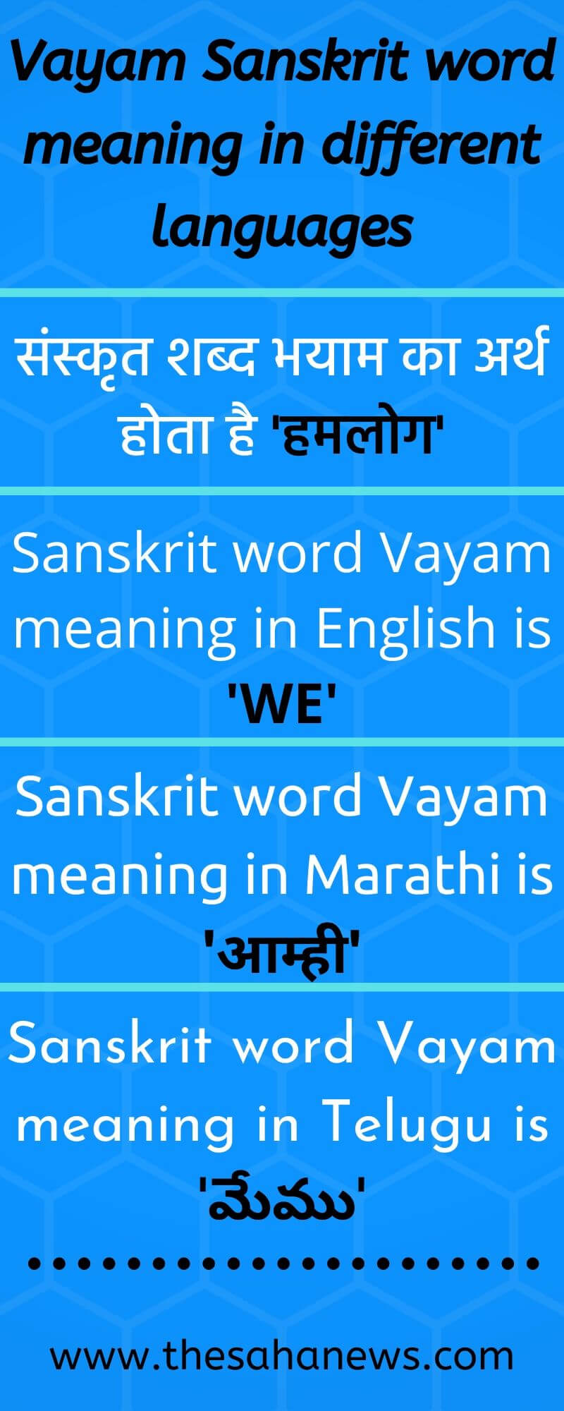 What does Vayam meaning in Sanskrit?