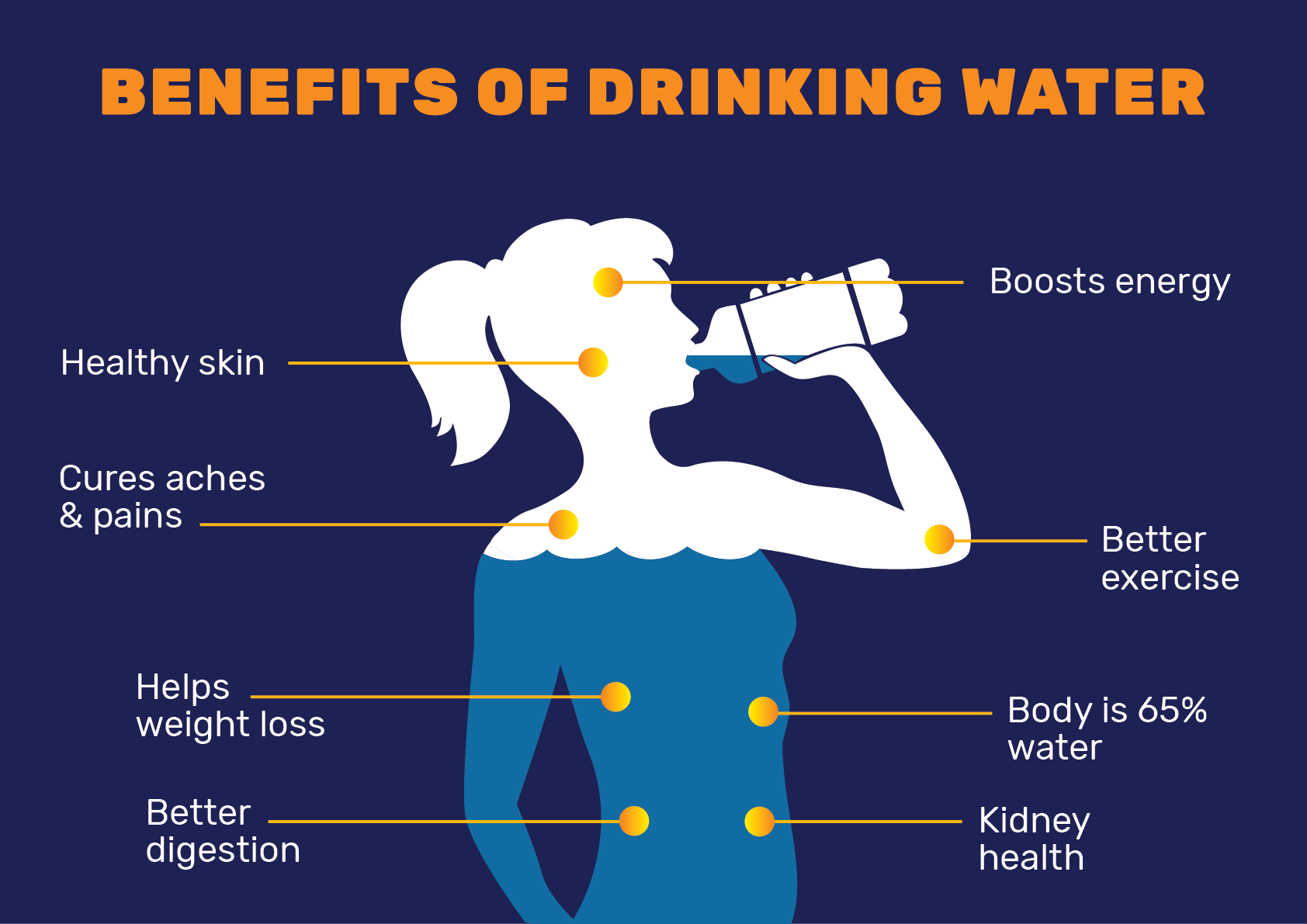 What does water do in the body?