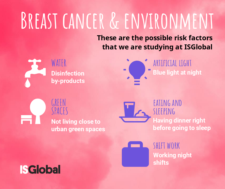 What environmental things can cause breast cancer?