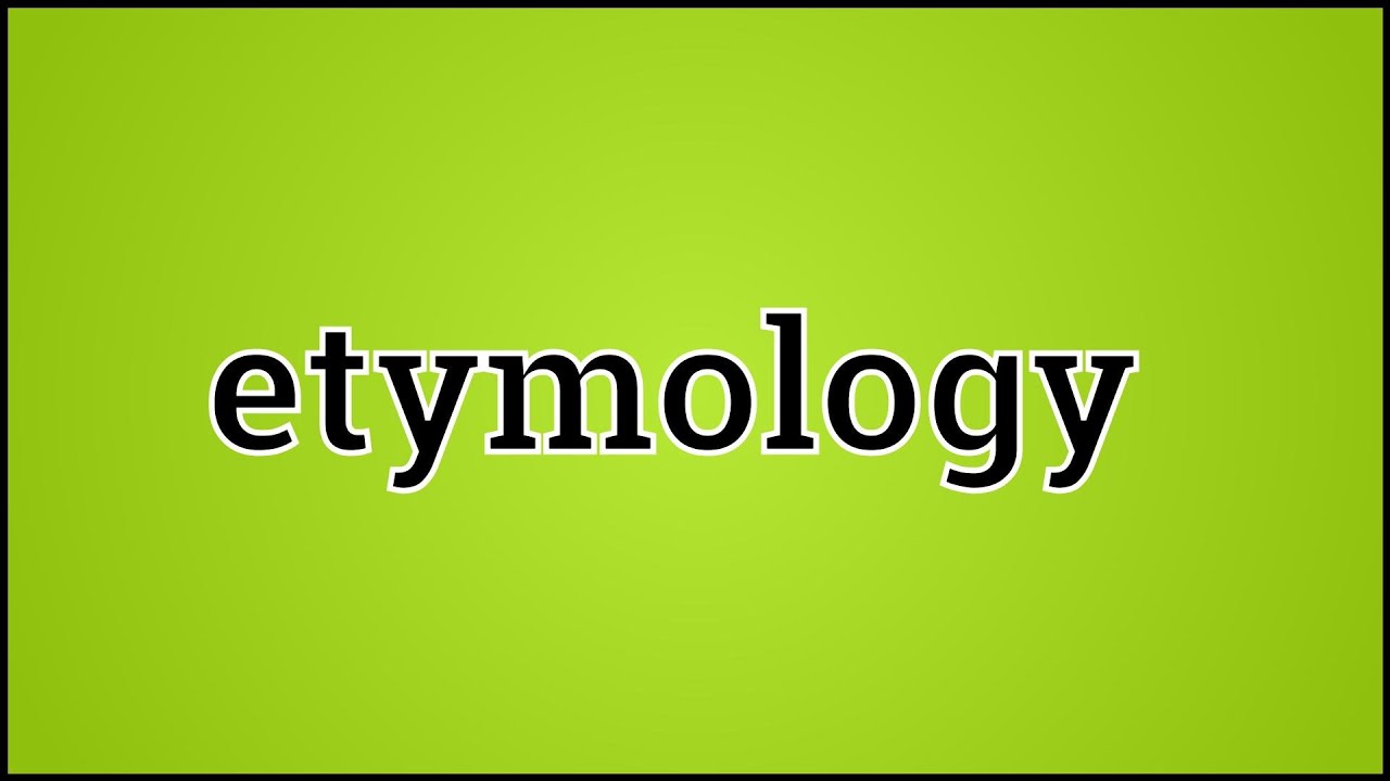 What etymology means?