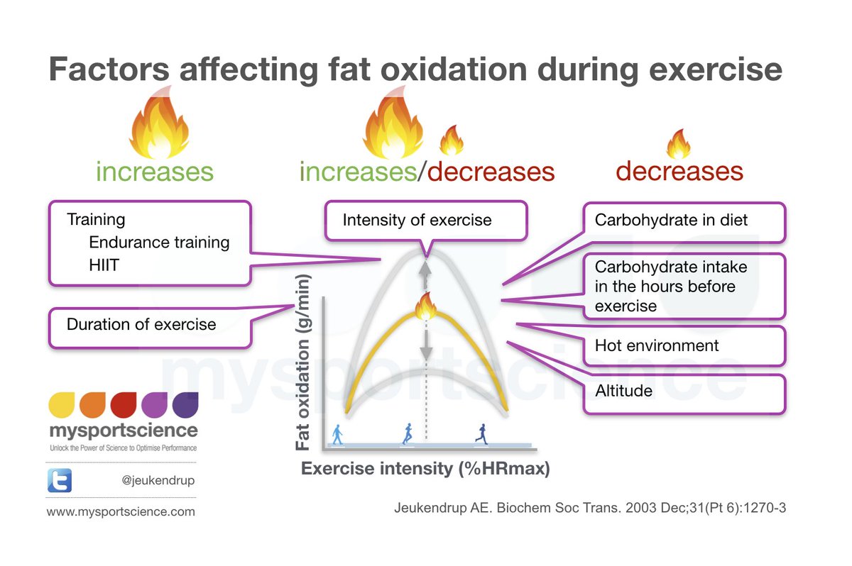 What factors influence how much fat is used during exercise?