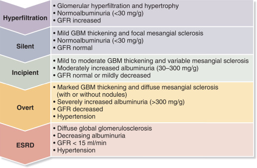 What first signifies the presence of diabetic nephropathy?