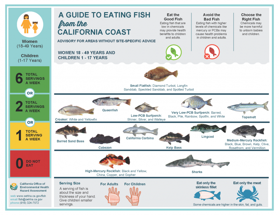 What fish are in San Francisco Bay now?