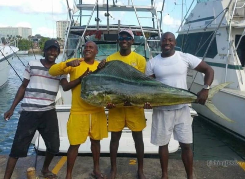 What fish are in season in Jamaica?