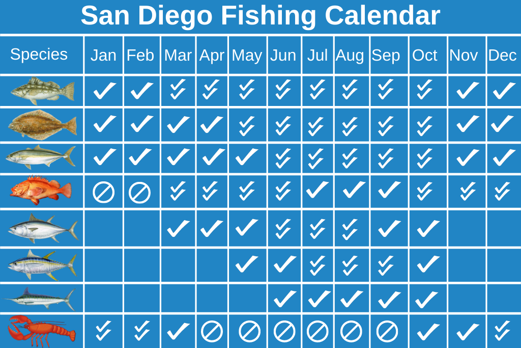 What fish are in season in San Diego right now?