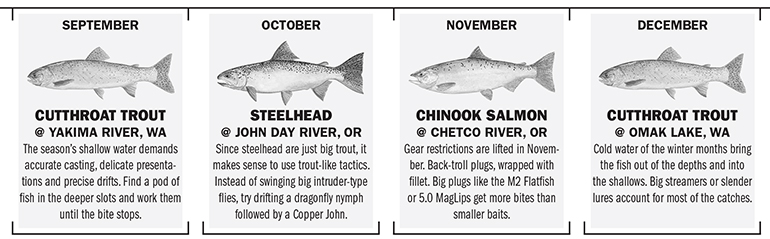 What fish are in season now in Washington state?