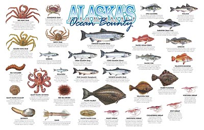 What fish are in the Alaska Ocean?