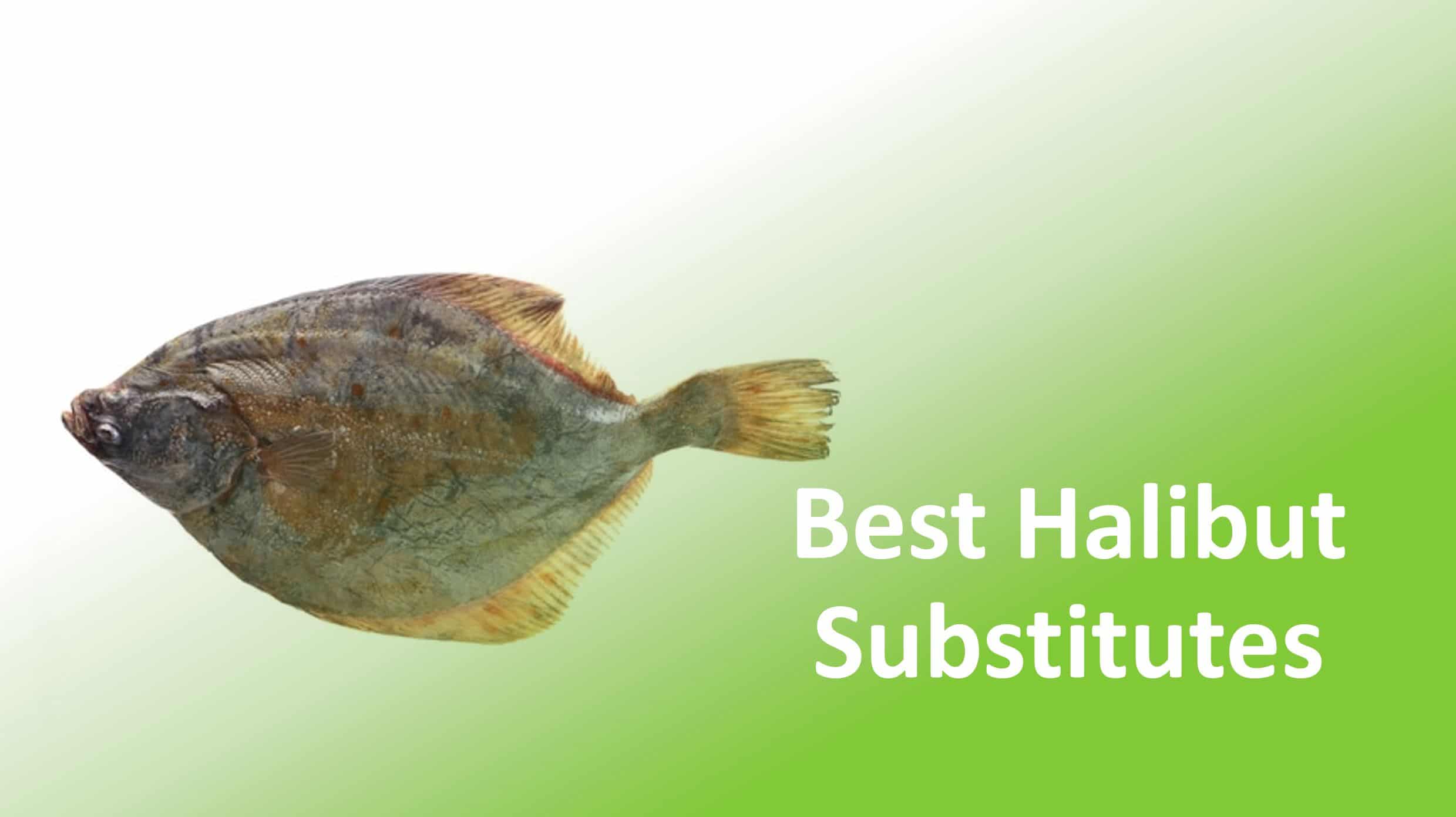 What fish can I use instead of halibut?