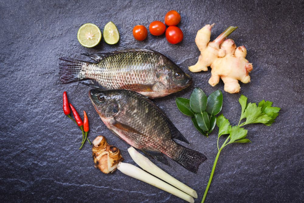 What fish can substitute for tilapia?