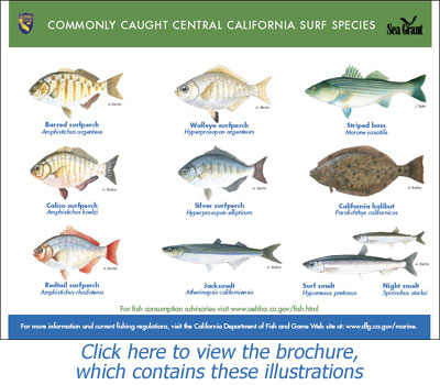 What fish can you catch and keep in California?