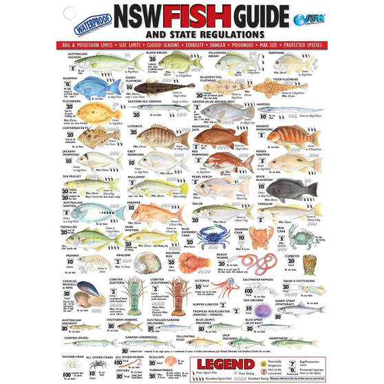 What fish can you catch in NSW?