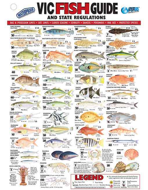 What fish can you catch in Victoria?