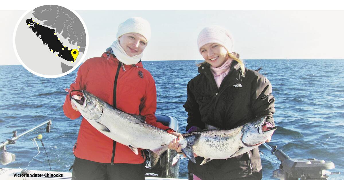 What fish can you catch in winter in Victoria?