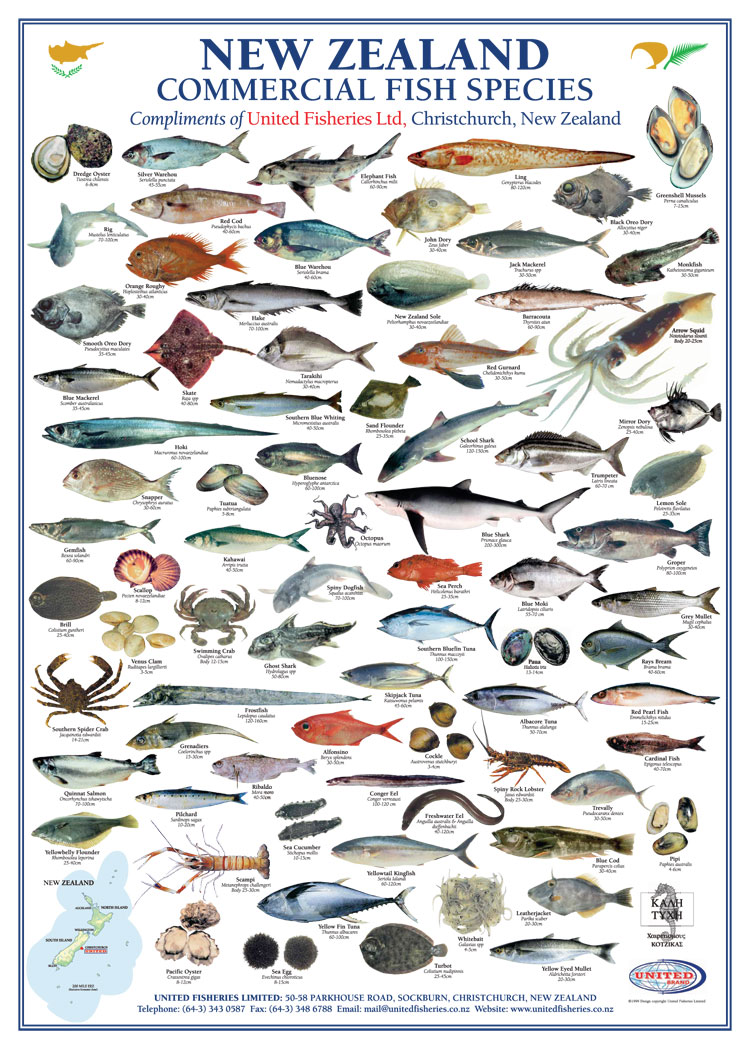 What fish can you find in New Zealand?