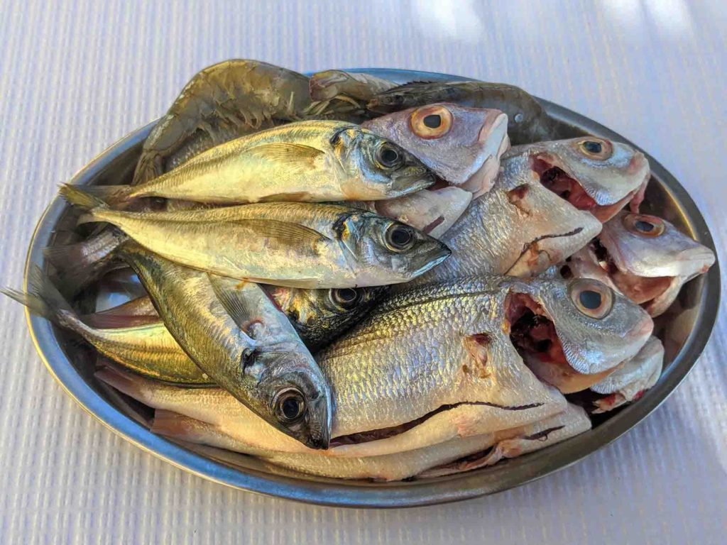 What fish do they eat in Portugal?