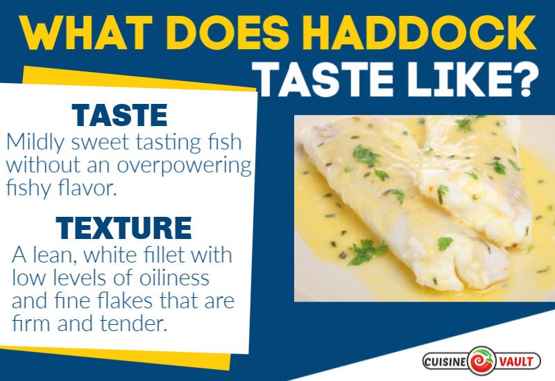 What fish does haddock taste like?