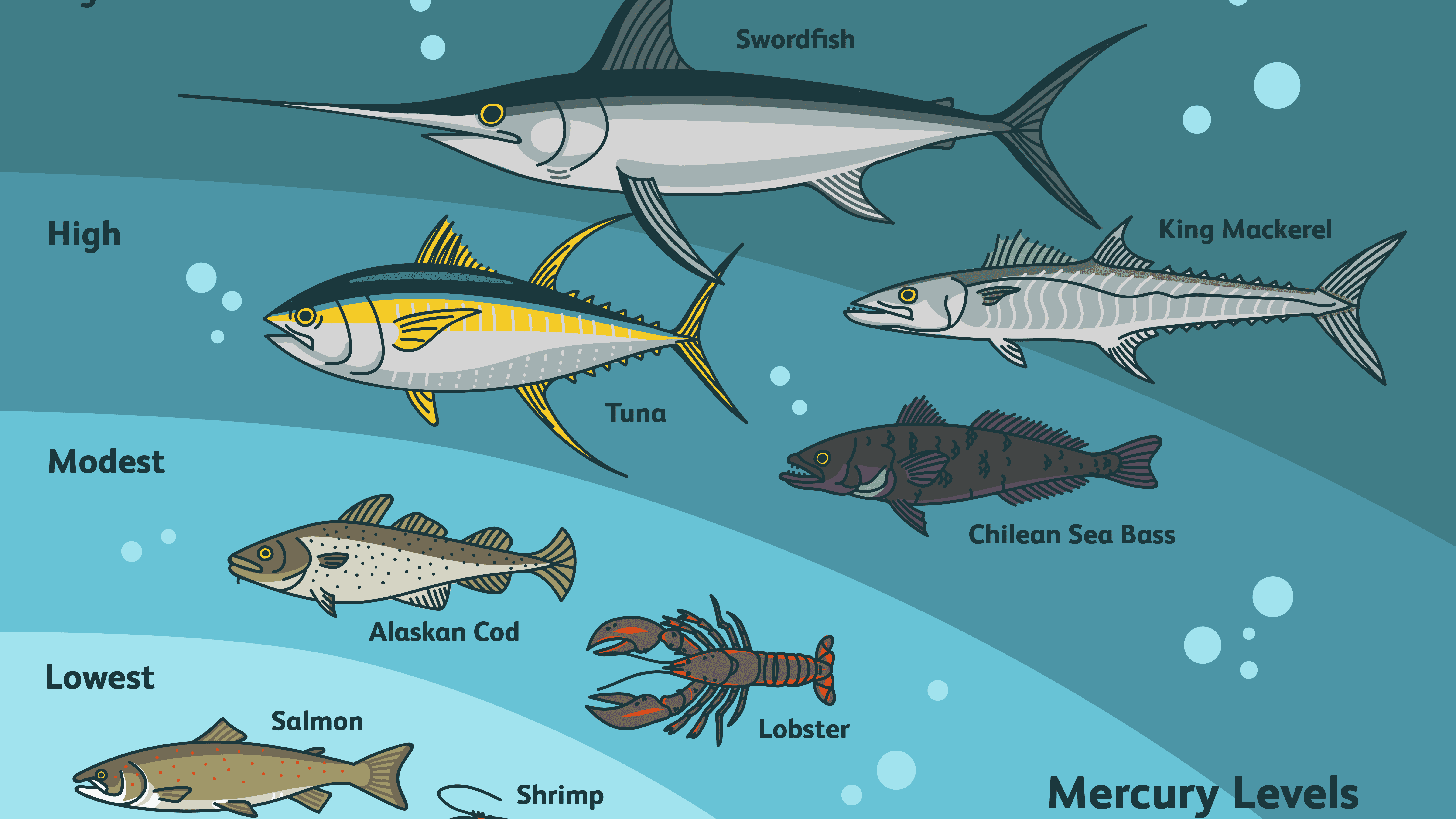 What fish has no high mercury?