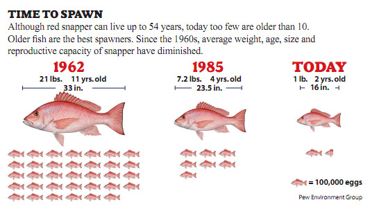 What fish have been affected by overfishing?