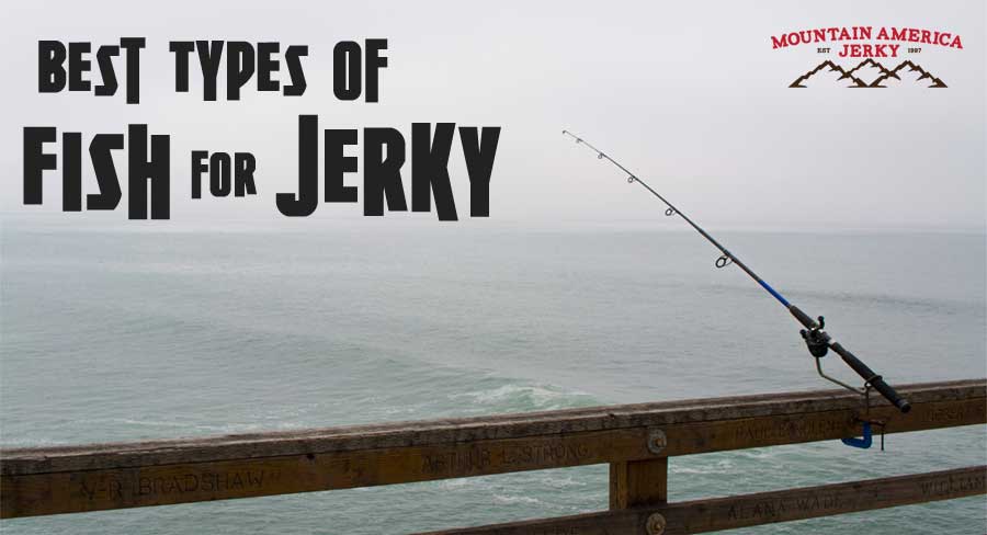 What fish is best for jerky?