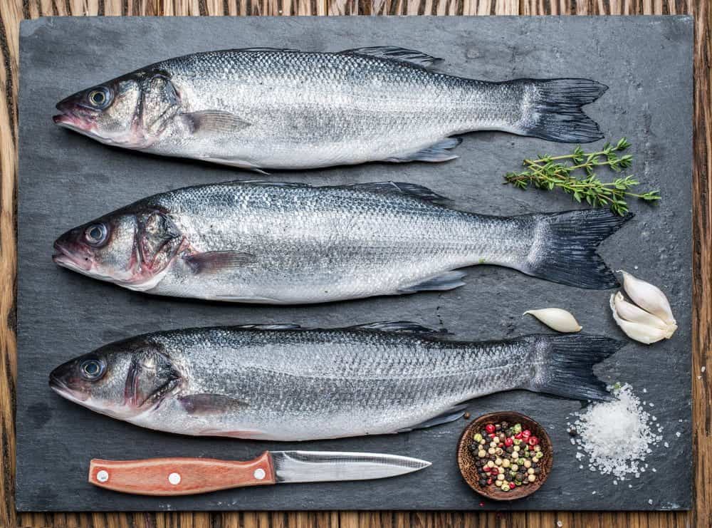 What fish is comparable to sea bass?