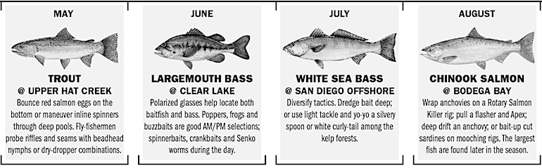 What fish is in season now in California?