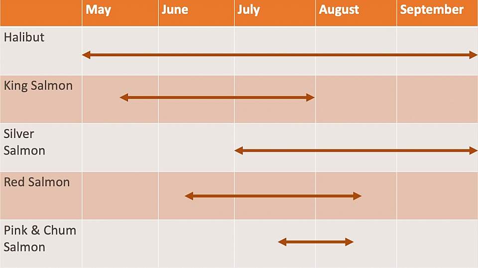 What fish is main catch in summer months in Seward Alaska?