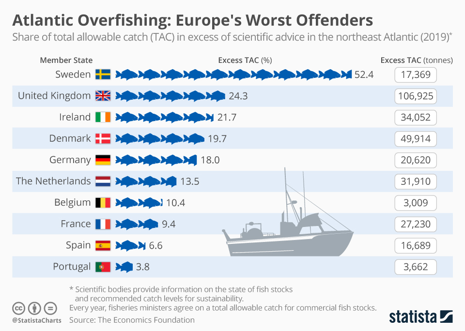 What fish is overfished the most?