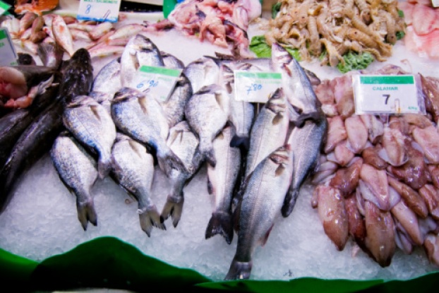 What fish is safe to buy?