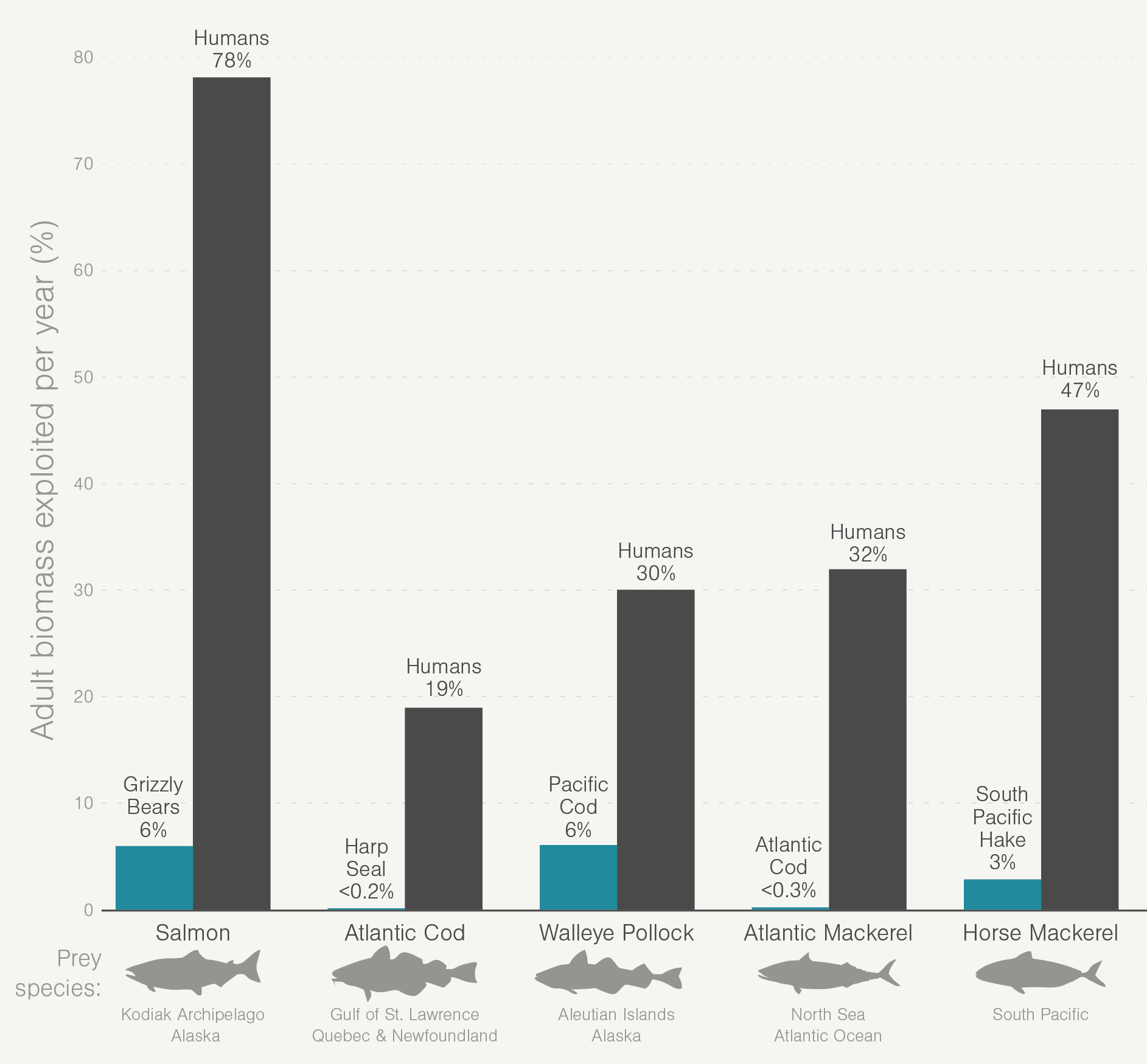 What fish kills the most humans per year?