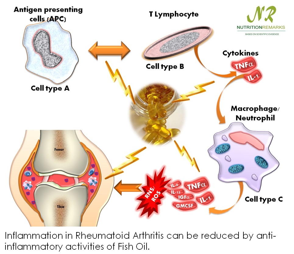 What fish oil helps with inflammation?