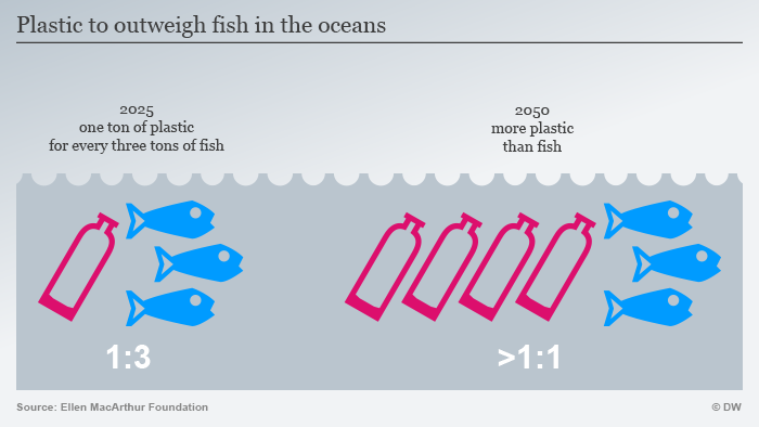 What fish will be gone by 2050?