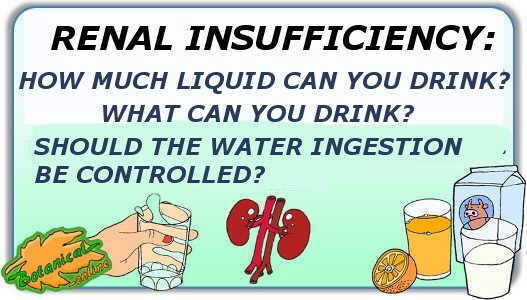 What fluids can you drink with kidney disease?