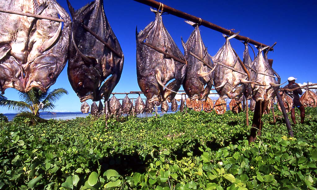 What food can be preserved by drying?