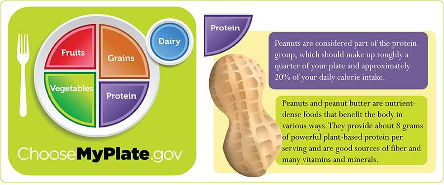 What food group is a peanut butter?