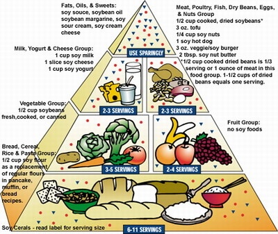 What food group is soy in?