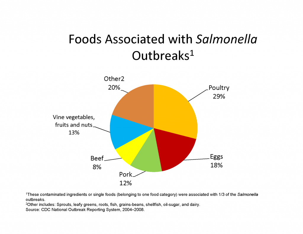 What food is Salmonella most common in?