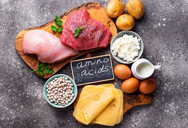 What foods are high in essential amino acids?