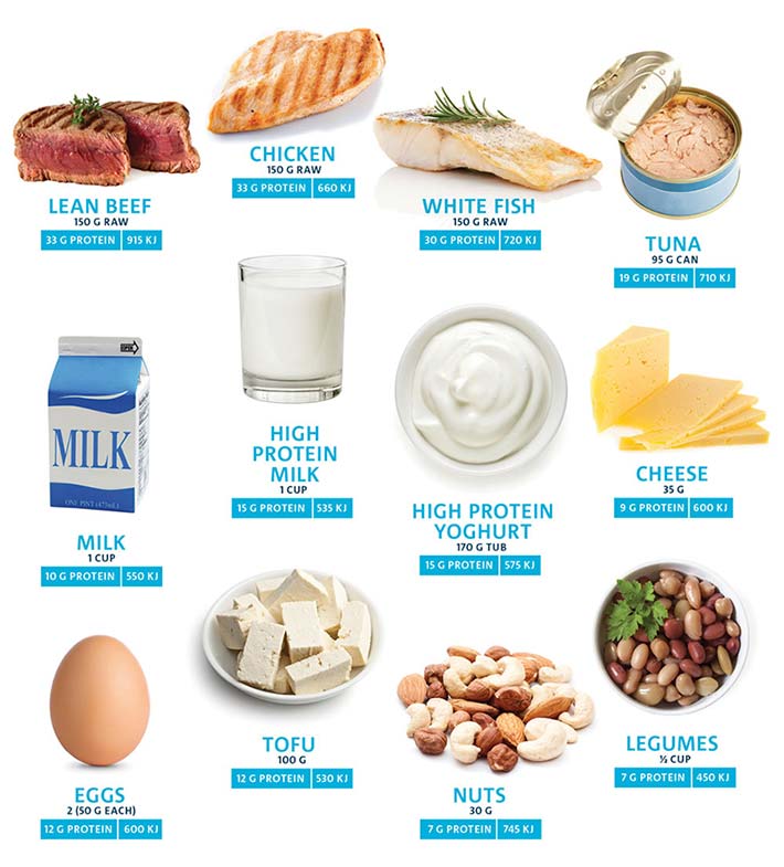 What foods are in the food group protein?