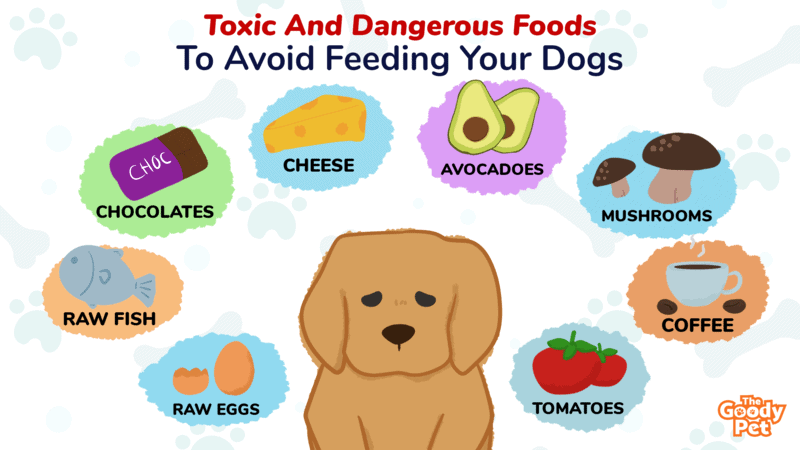 What foods are toxic to dogs liver?