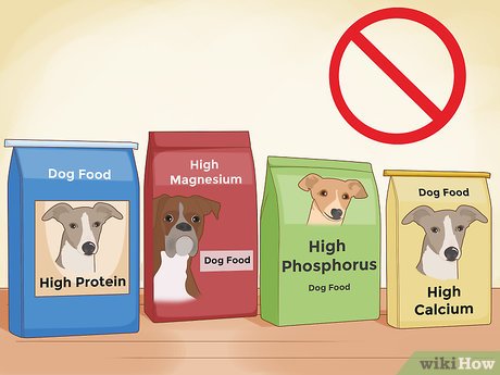 What foods can cause kidney stones in dogs?